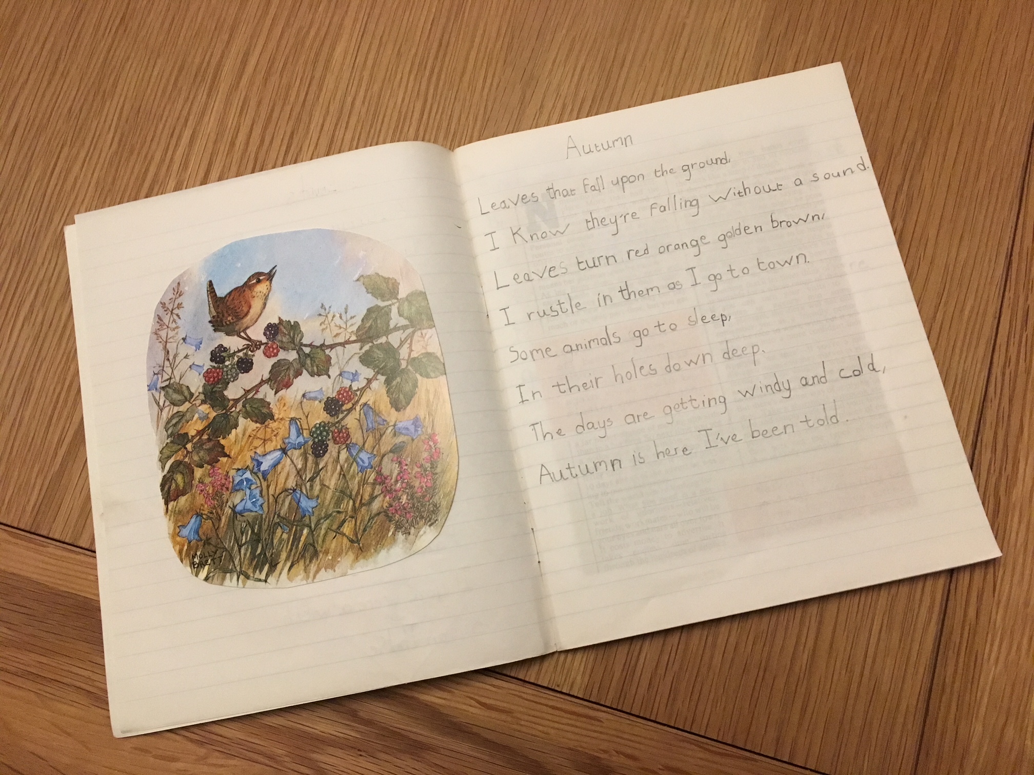 About – Nina Parmenter Poetry